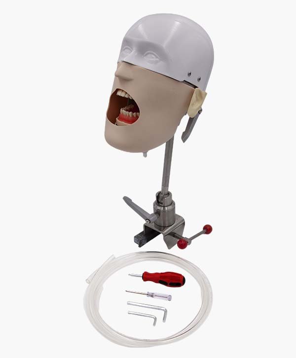 Realistic Simulation Manikin FM-T002 – Feiman