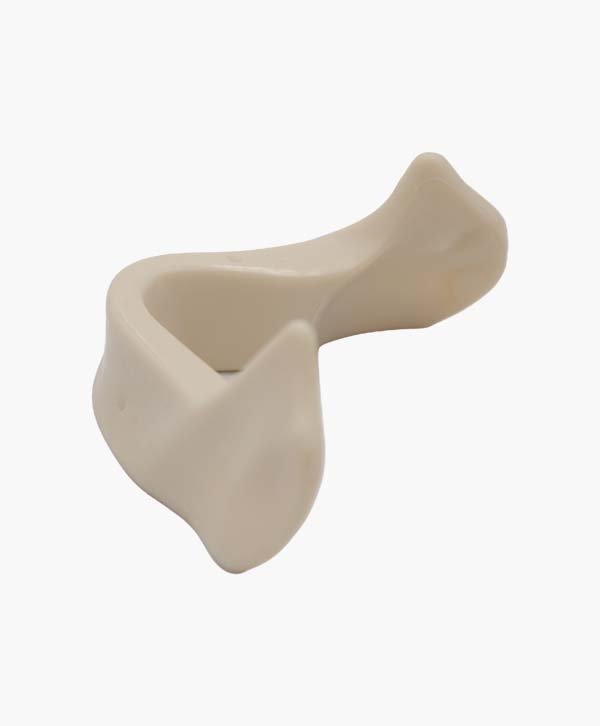 Simulation Mandibular Bone FM-D010 - Feiman